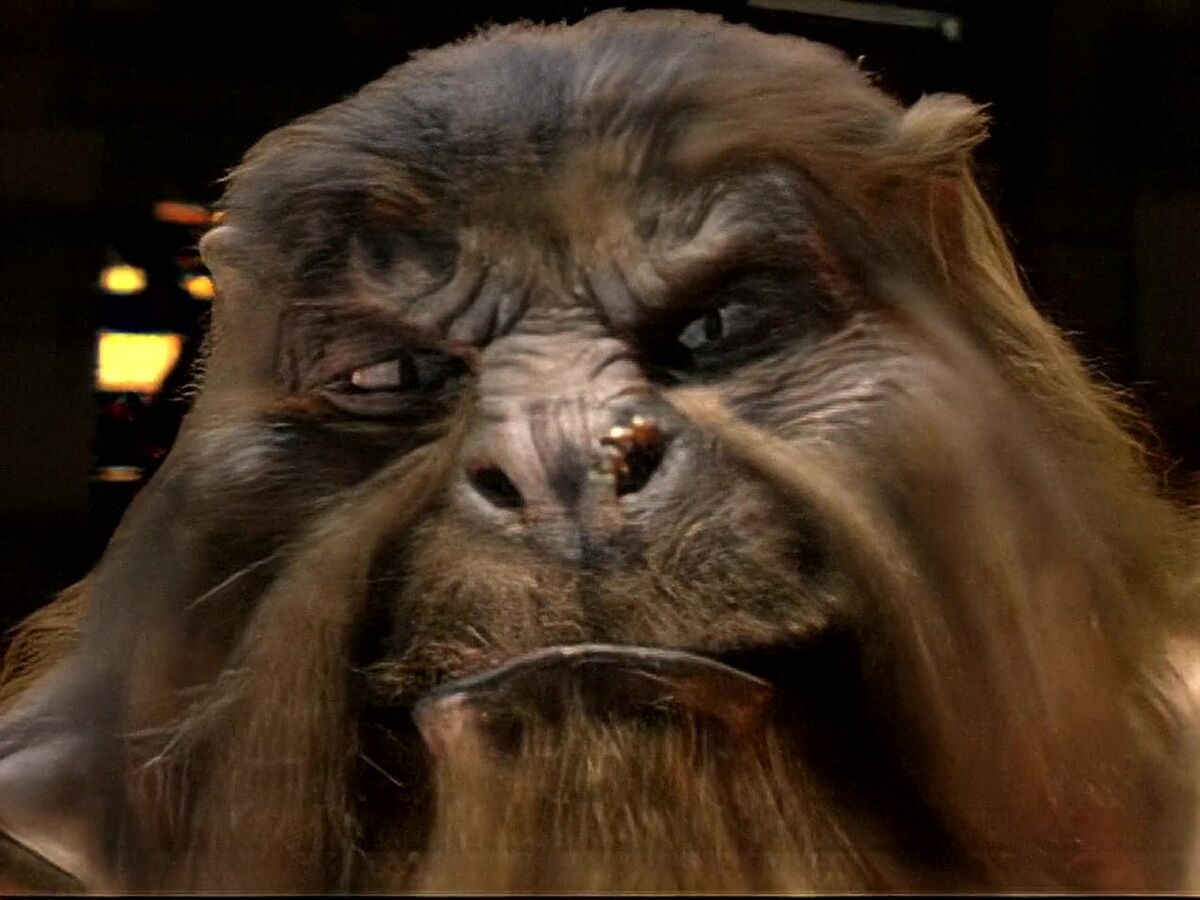 Melek - Wing Commander Encyclopedia